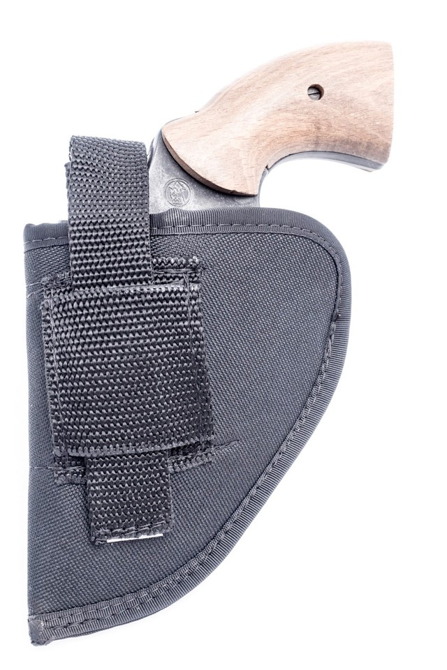 Colt DSII .38 2" | Nylon IWB Inside Pants Conceal & OWB Outside Belt ...
