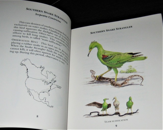 A Field Guide to Little-Known and Seldom-Seen Birds of North America by ...
