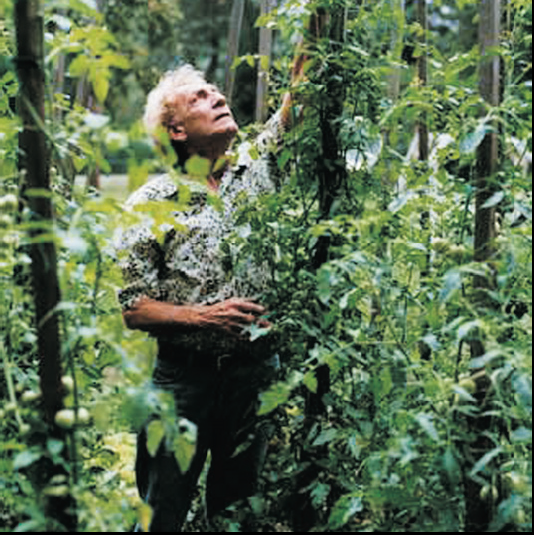 Rootblast - Plant Growth Formula | eBay