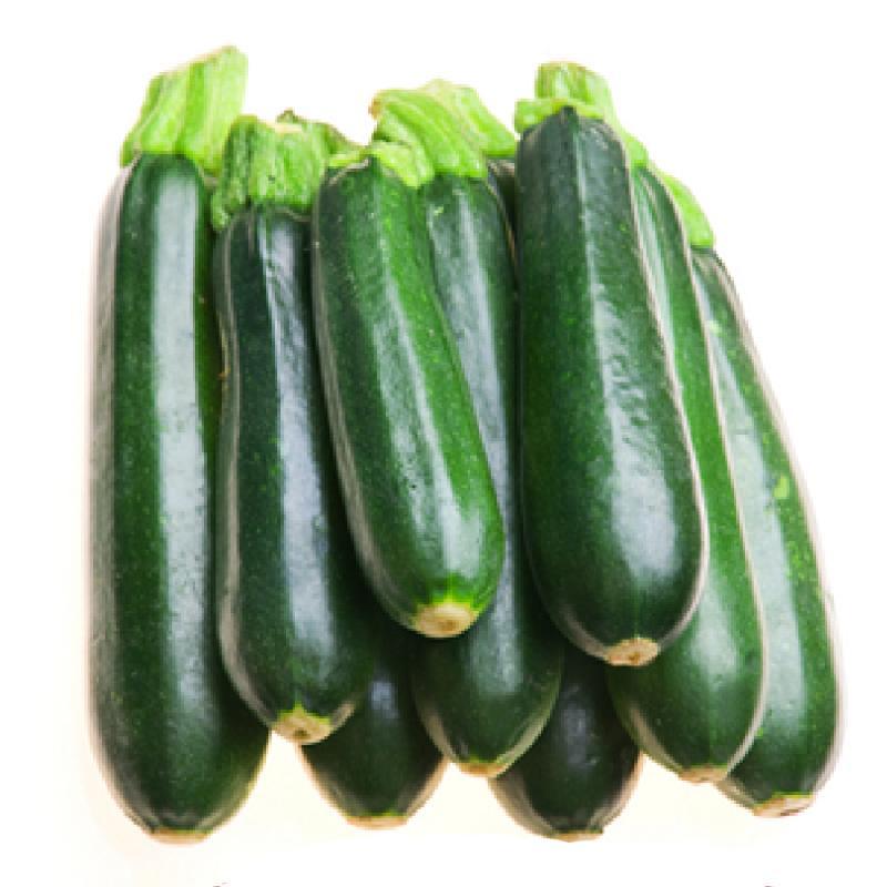 Squash Seed: Spineless Beauty Zucchini Seeds Fresh Seed | eBay