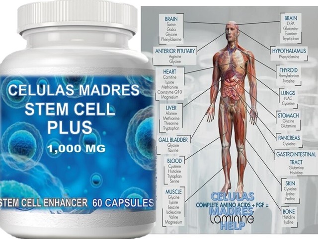 Miracle Celulas Madres Stem Cell Plus Supplement for Immune Support ...