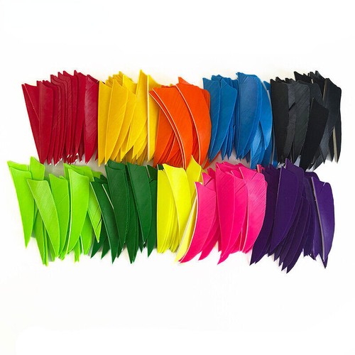 100 Pcs Inch Arrow Feathers Shield Archery Fletching for Fletches ...