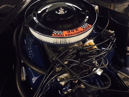Scott Drake Air Cleaner Chrome With Blue Base and 302 Hi-po Decal V8 ...