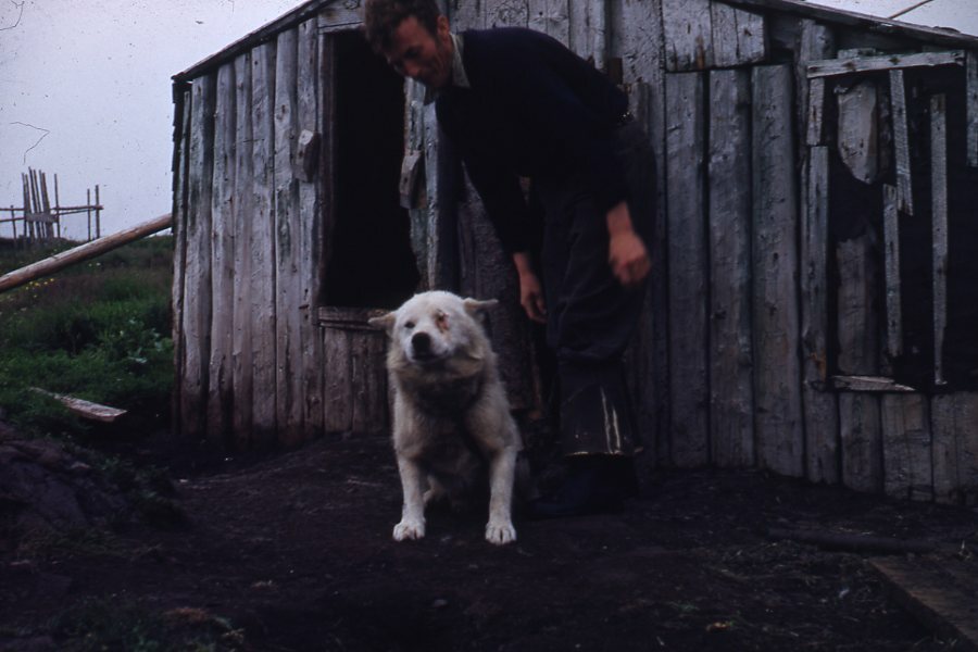 35mm Slide 1950s Red Border Kodachrome Man w White Dog Infected Eye ...