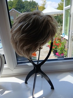 Natural Image Refresh Wig In Praline Mist | eBay UK