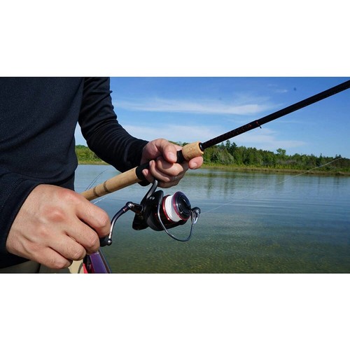 7’ Elite Spinning Rod, One Piece Spinning Rod, plus premium cork ...