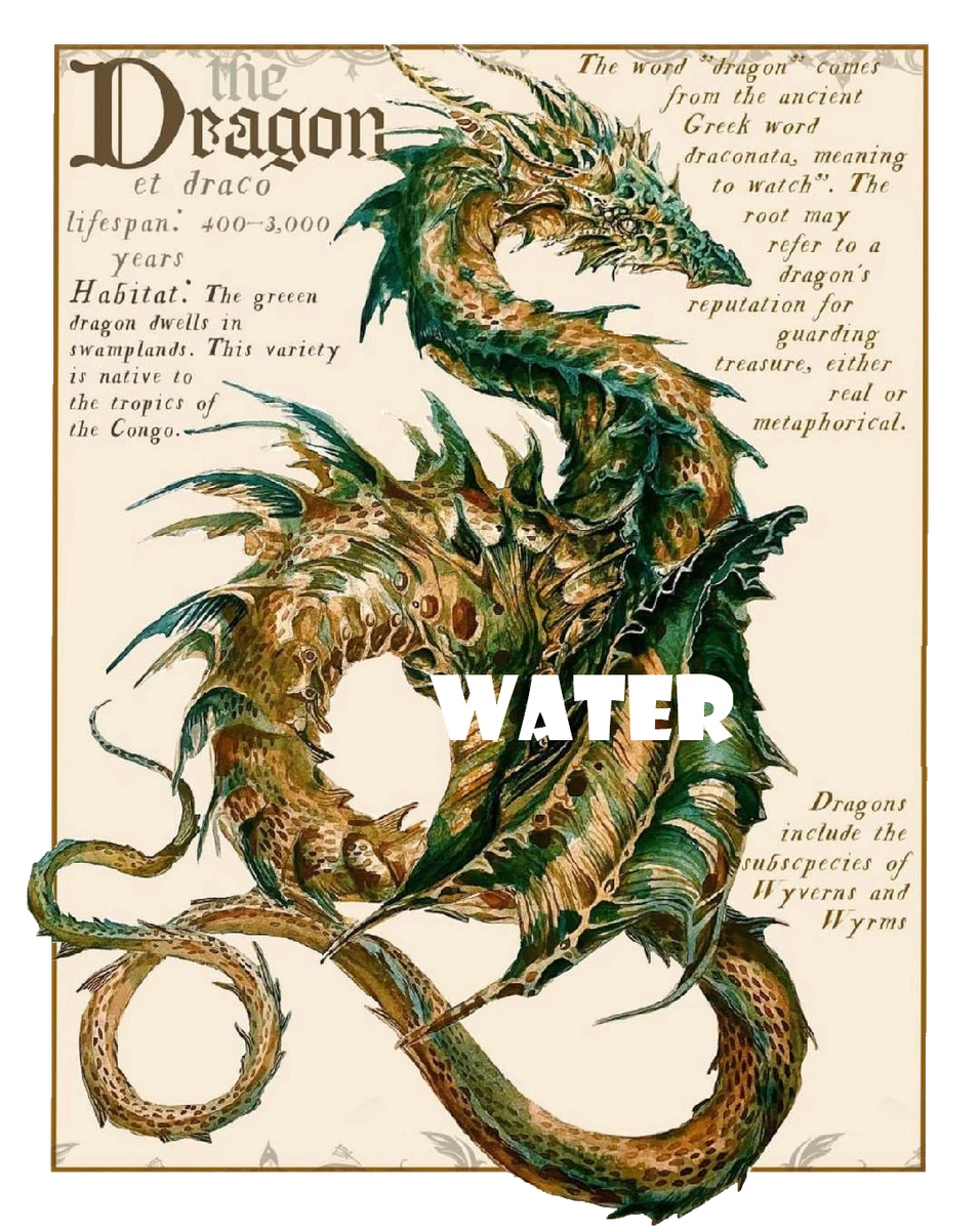 Draco The Dragon Myth