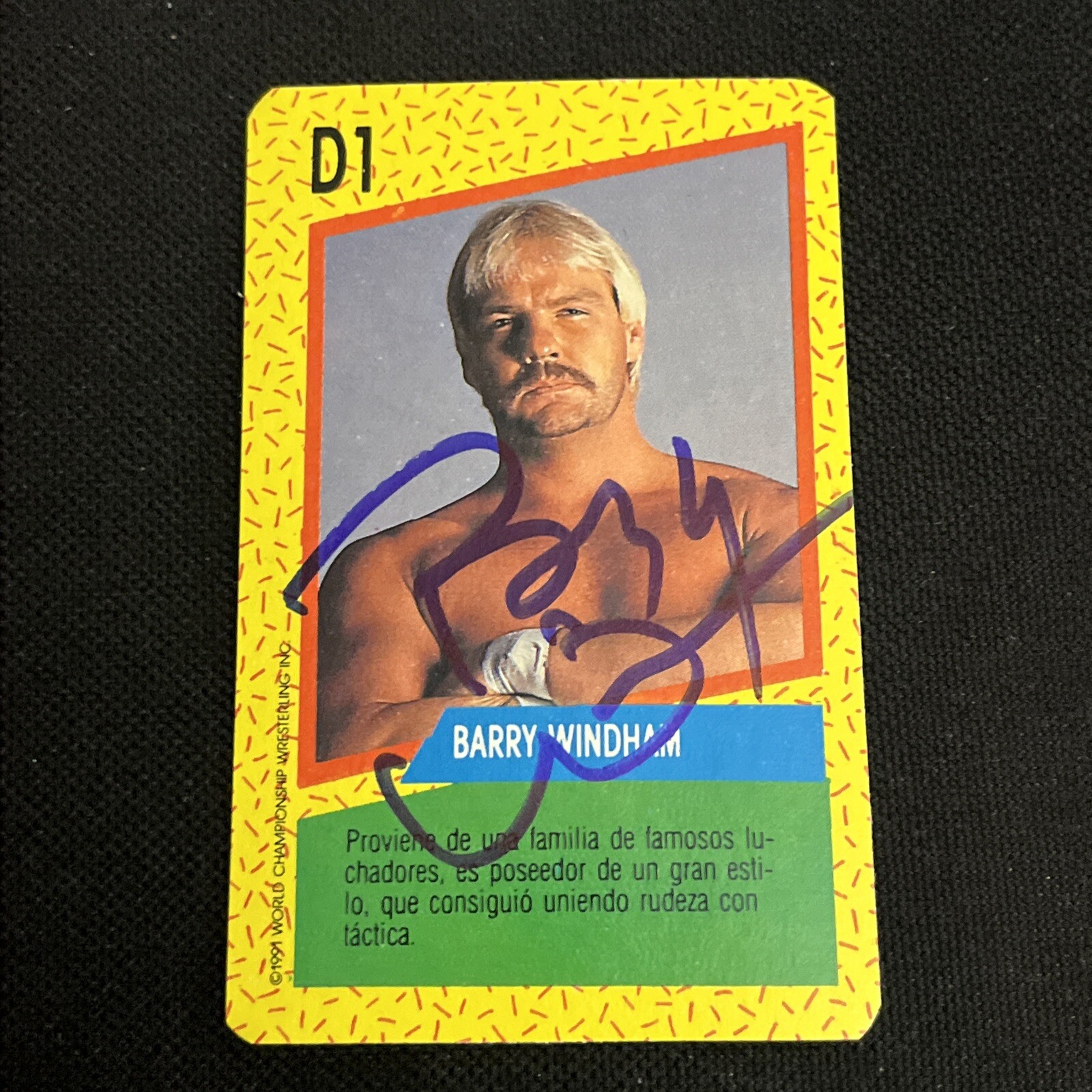 BARRY WINDHAM 1991 CROMY WCW WRESTLING SIGNED AUTOGRAPHED CARD | eBay