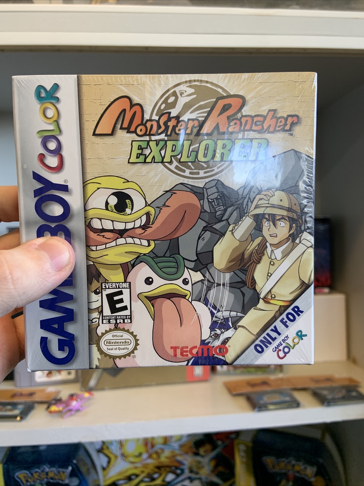 Monster Rancher Explorer (Nintendo Game Boy Color, 2000) for sale ...