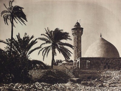 1925 JENIN MOSQUE Photogravure Art Print WEST BANK Palestine | eBay