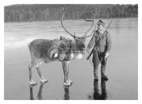 FINISH WW2 SOLDIER WITH HIS REINDEER ON ICE NEAR LAPLAND FINLAND WWII ...