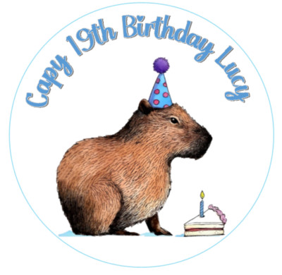 PERSONALISED EDIBLE capybara Icing Cake Topper Round | eBay UK