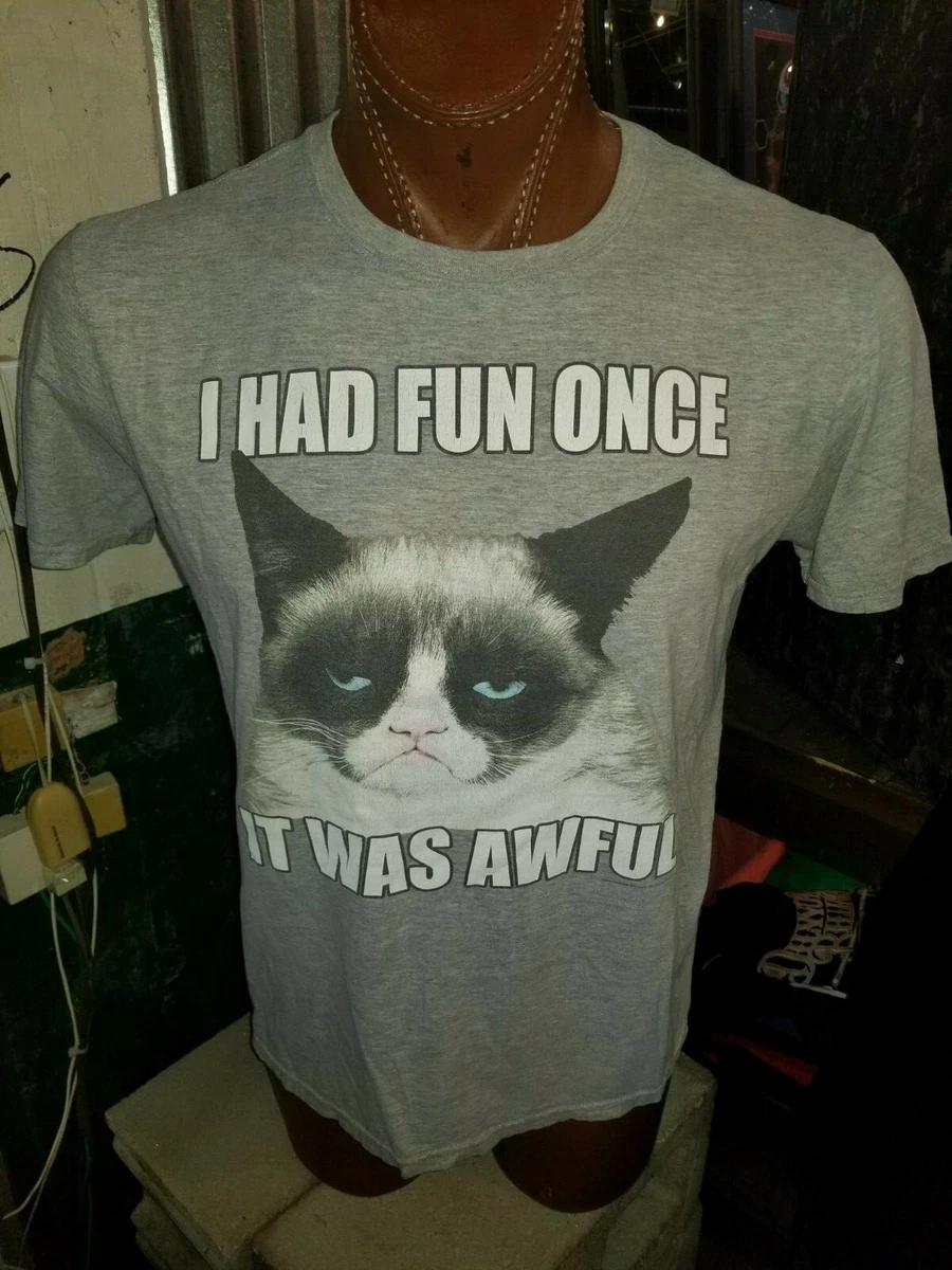 Grumpy Cat Meme I Had Fun Once