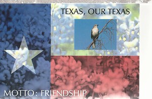 Texas Our Texas Motto: Friendship TX Unused Chrome Postcard 12114 | eBay