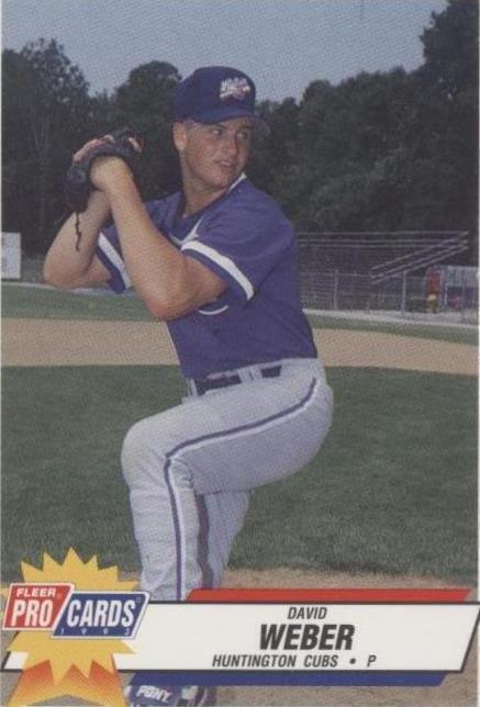 1993 Fleer ProCards Minor League - David Weber #3236 (RC) for sale ...