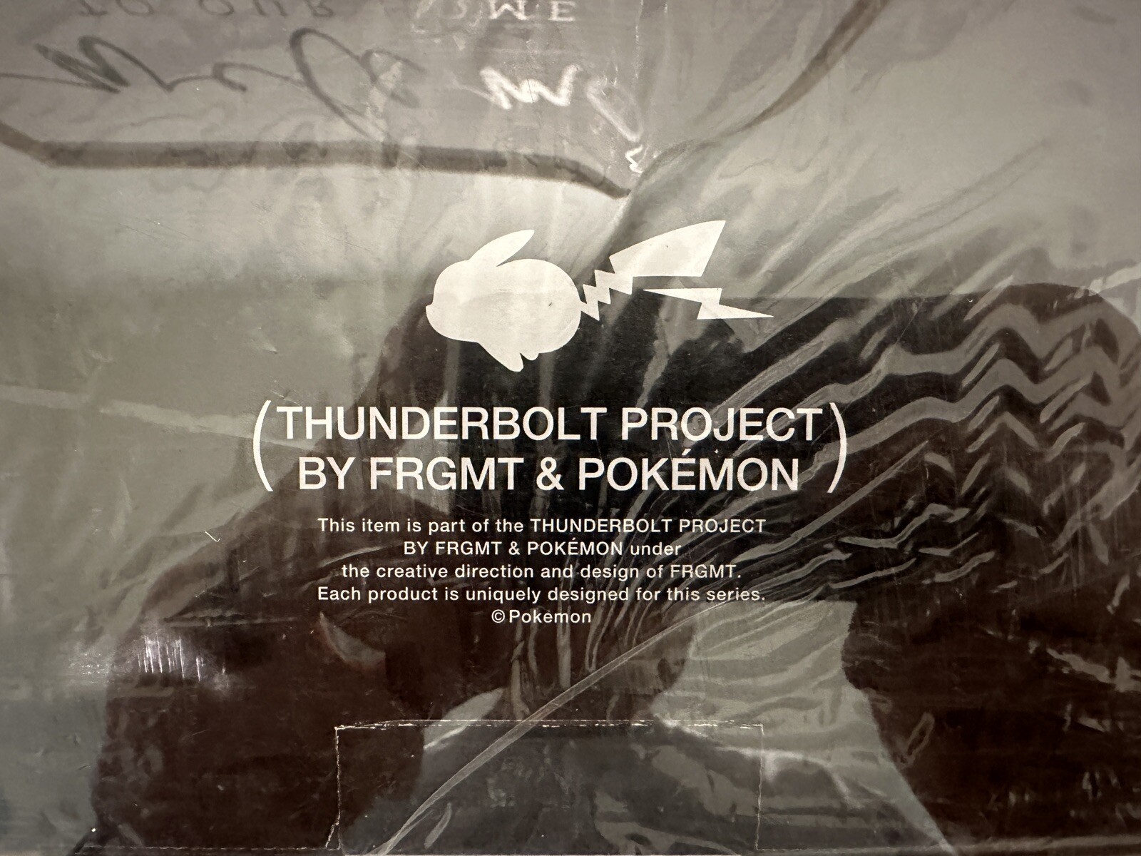 Rare Limited Special Edition Thunderbolt Project FRGMT Pokemon Nintendo ...