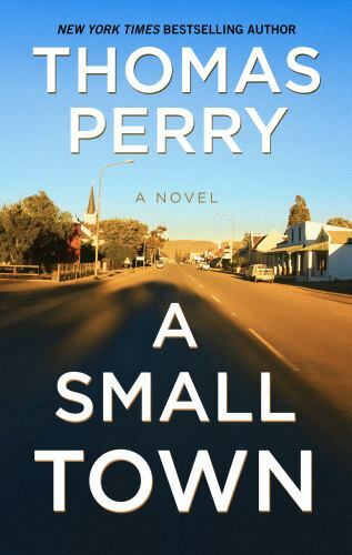 A Small Town by Perry, Thomas 9781432875053| eBay