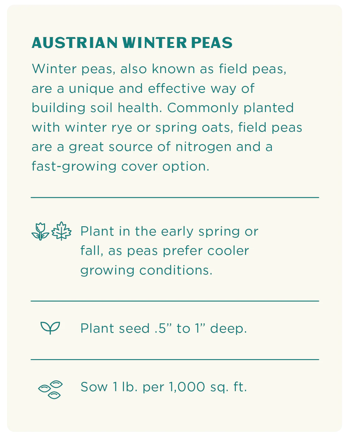 Austrian Winter Pea Seeds | eBay