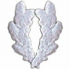 Military, SCRAM. EGG, SILVER, Embroidered Novelty Patches, Iron On ...