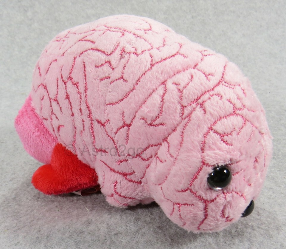 GIANT MICROBES-BRAIN ORGAN-Stuffed Plush Mind Stem Cell Memory Thoughts ...