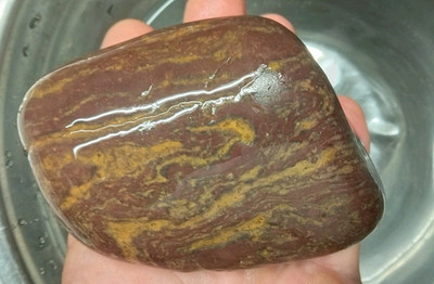 13.33 oz. Colorado River DINOSAUR COPROLITE Arizona Fossil Fossils ...