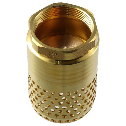 2 inch NPT Foot Valve Brass Backflow Valve Mesh Check Valve Oil Water ...