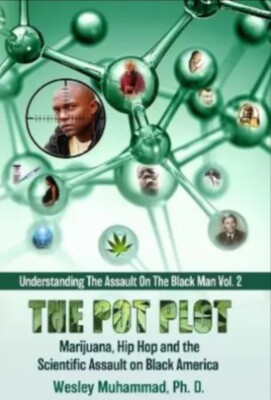 Wesley Muhammad The Pot Plot (Paperback) 9781958947074| eBay