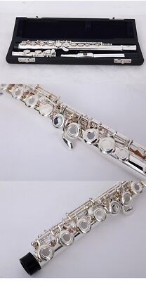 C Key Flute 16 Open Holes with E Key Silver Plated Flute | eBay