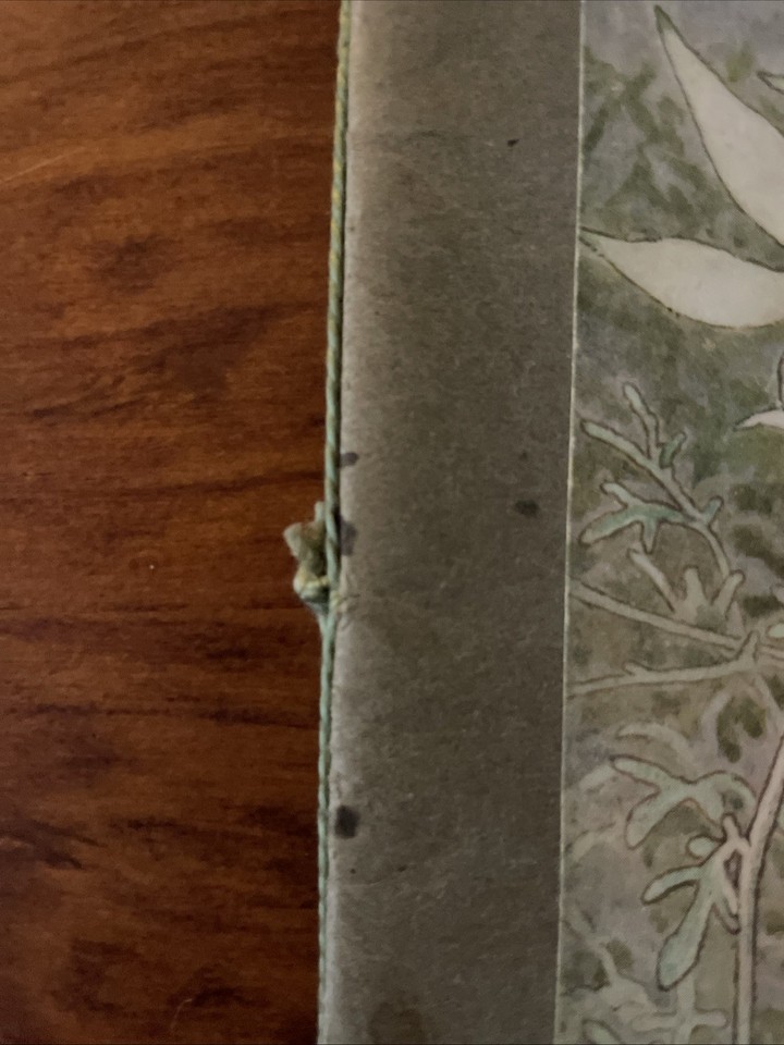 Flannel Flowers and Other Bush Babies - May Gibbs - Rare Vintage 1921 ...