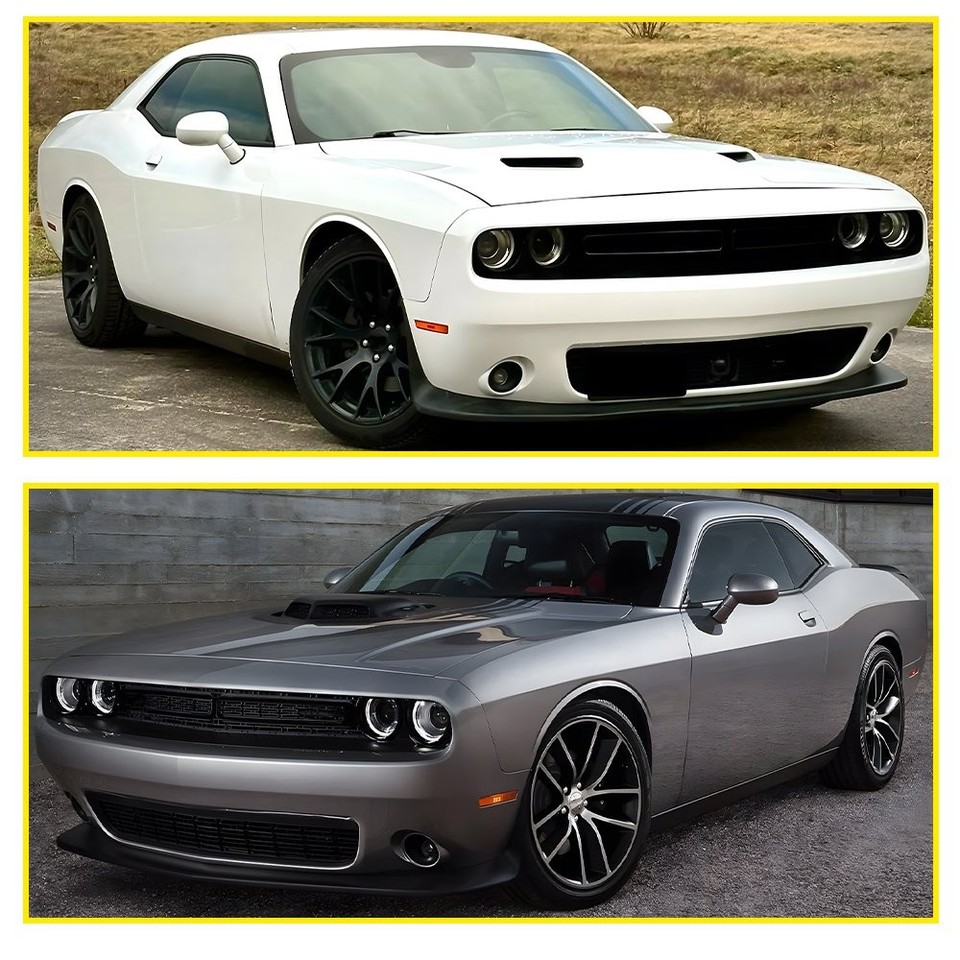 Front Left and Right Fog Light Cover Set For Dodge Challenger 2015-2023 ...