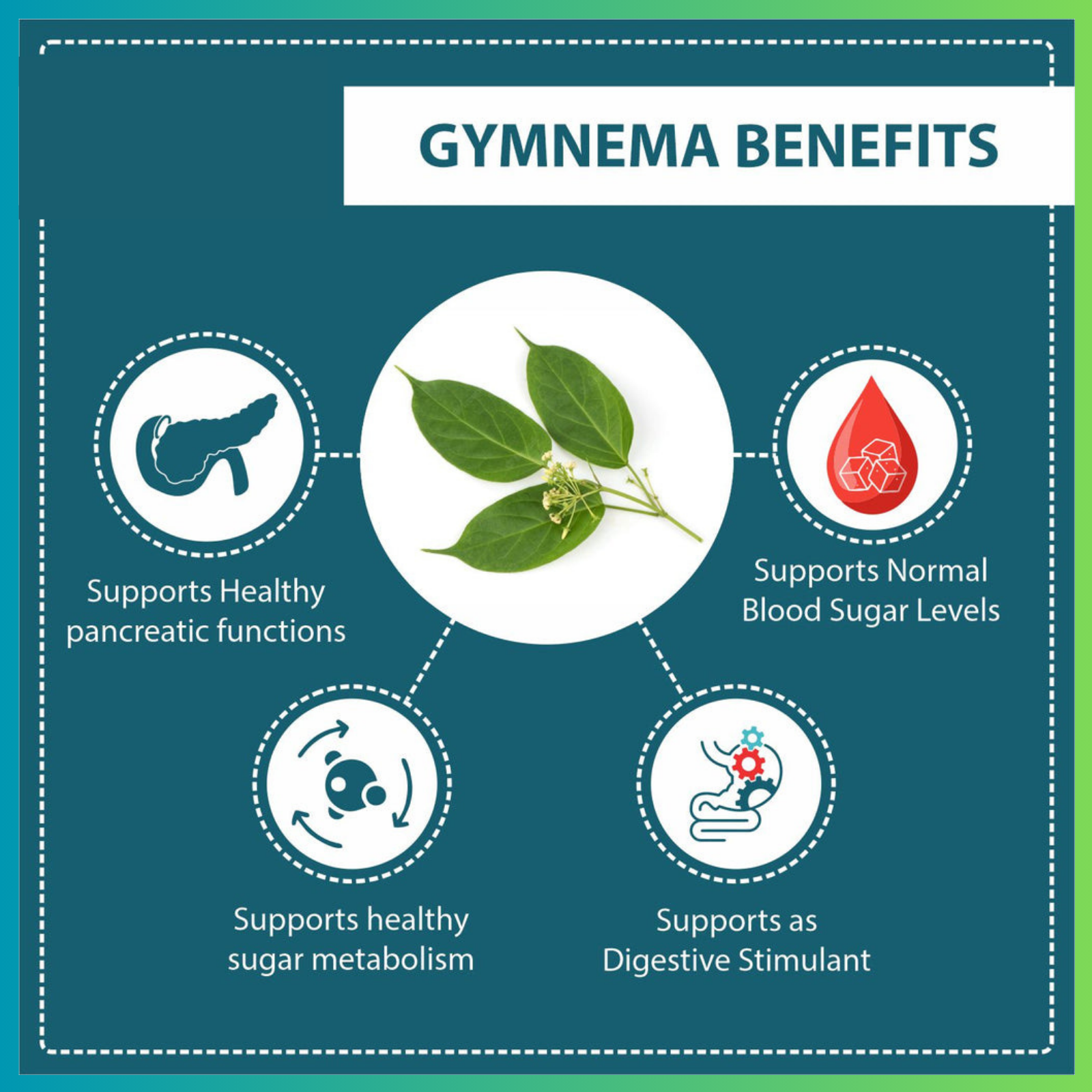 Gurmar Gymnema Sylvestre Tea Bags Blood Sugar Control Weight Loss ...