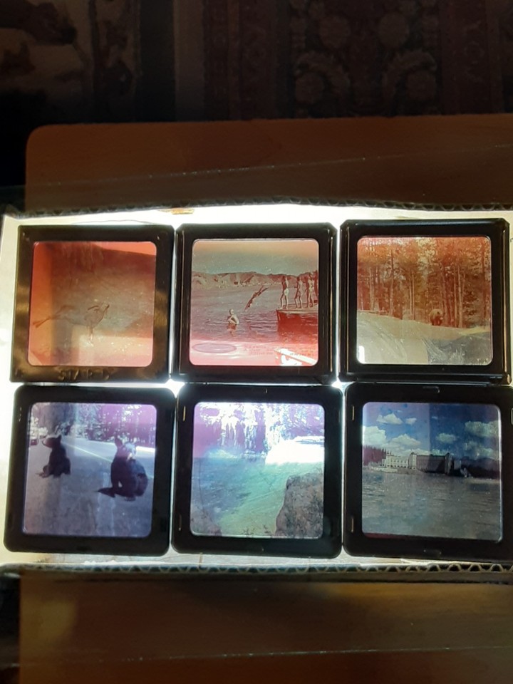 Huge Lot Of 550 Vintage Antique Magic Lantern Glass Slides Colored | eBay