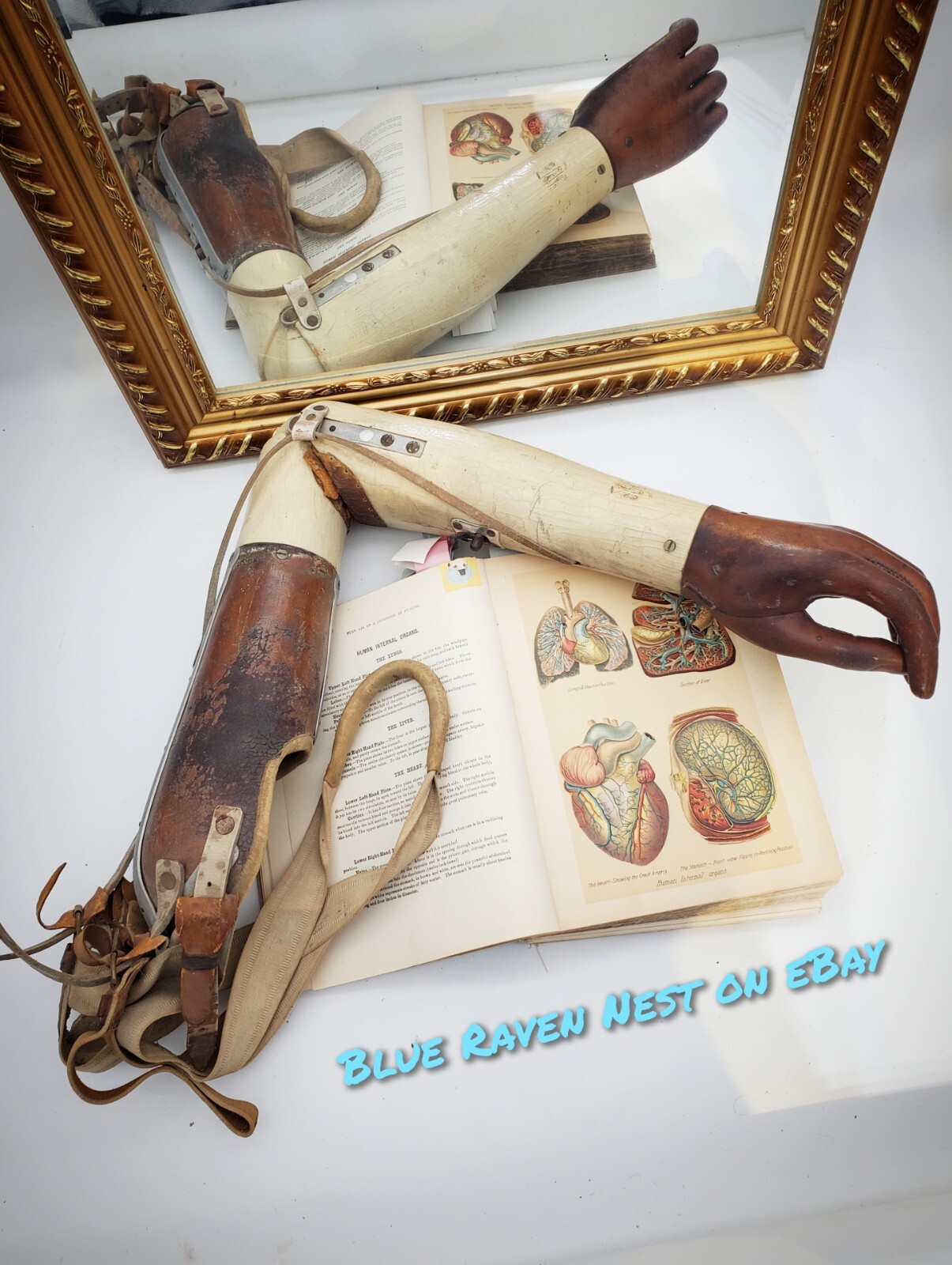 Antique Surgical Medical Leather Wood Prosthetic Arm Hand European ...