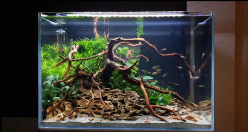 Aquarium Professional Fish Tank - 90L (60x40x40cm) Clear Glass ...