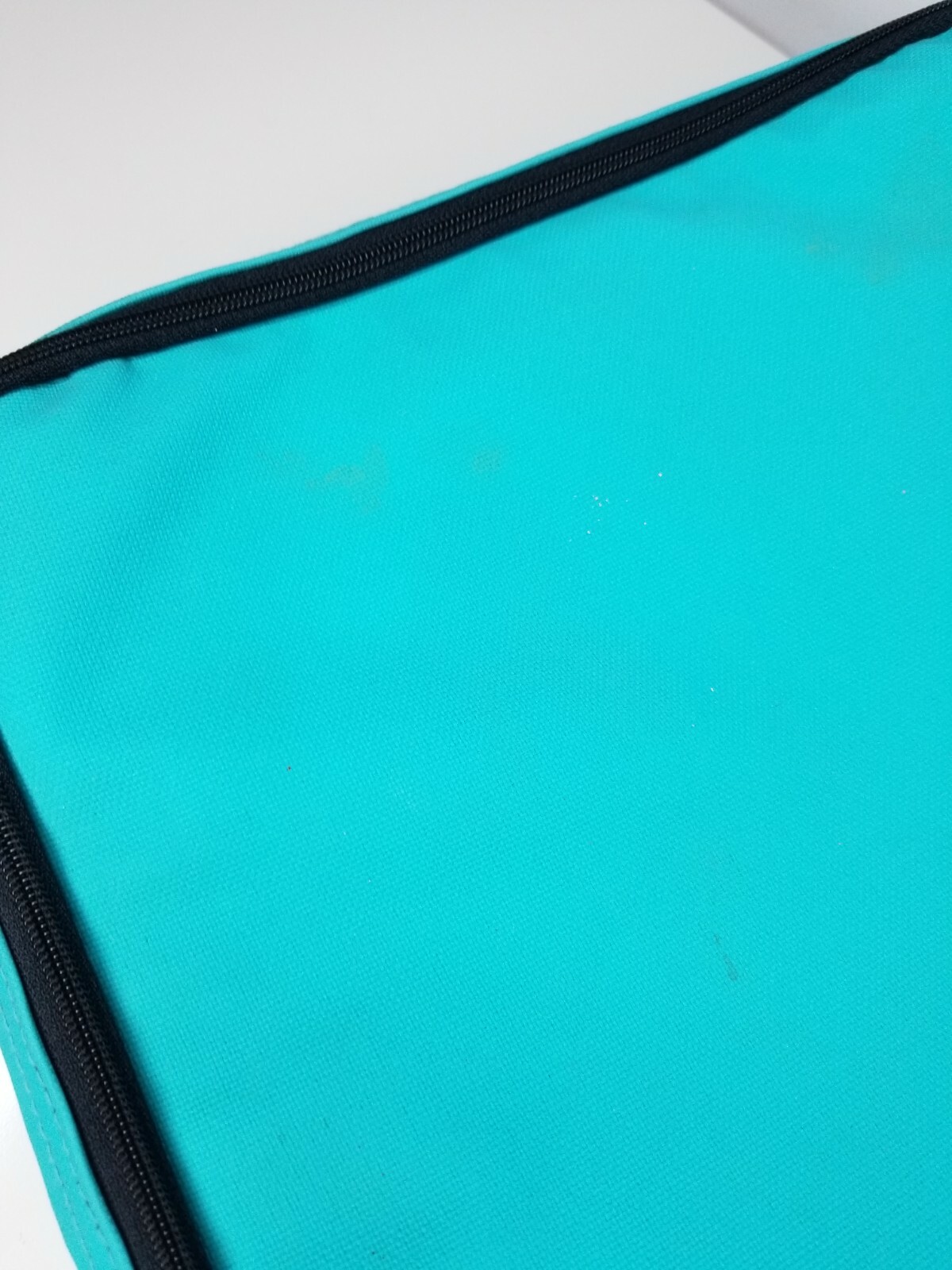 Pyrex Portables Insulated Carrying Travel Case Hot/Cold Bag Blue Ice ...