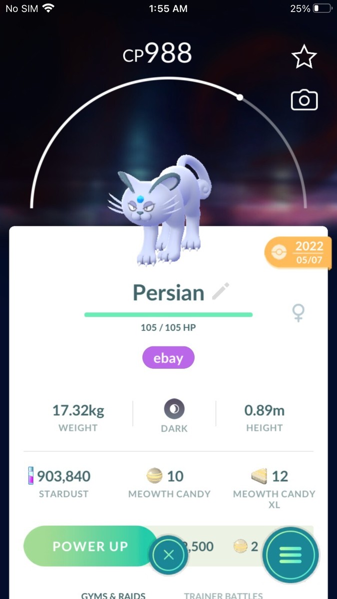 Persian Pokemon Go