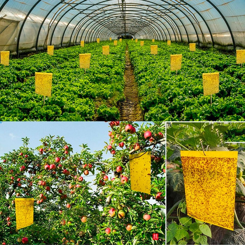 10X Yellow Sticky Fly Trap Bug Insect Catcher Trap Paper Killer Glue ...