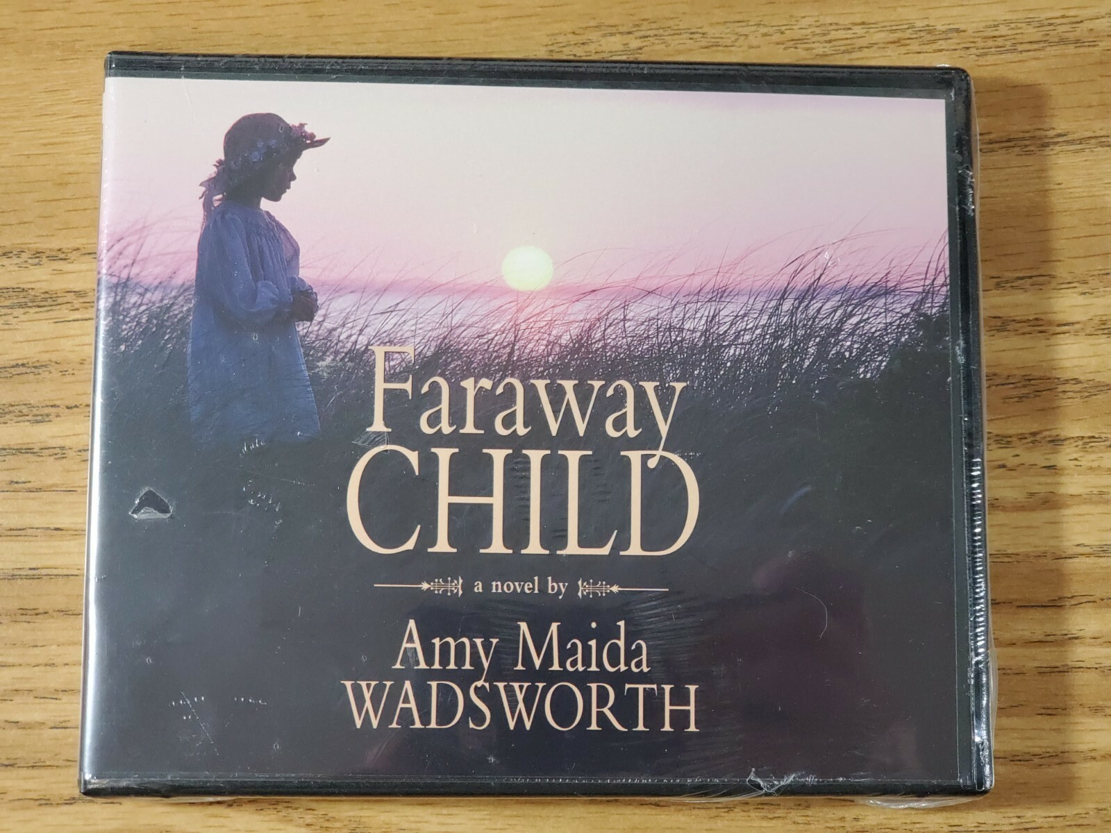 Faraway Child audiobook Novel Autism Amy Maida Wadsworth NEW SEALED | eBay