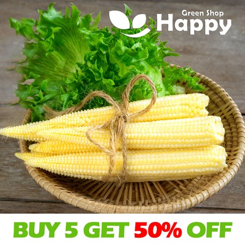 BABY SWEETCORN - Minigold - 20 seeds - baby corn - crunchy snack | eBay