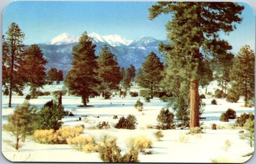 SAN FRANCISCO PEAKS FLAGSTAFF ARIZONA WINTER Vintage Chrome Postcard ...