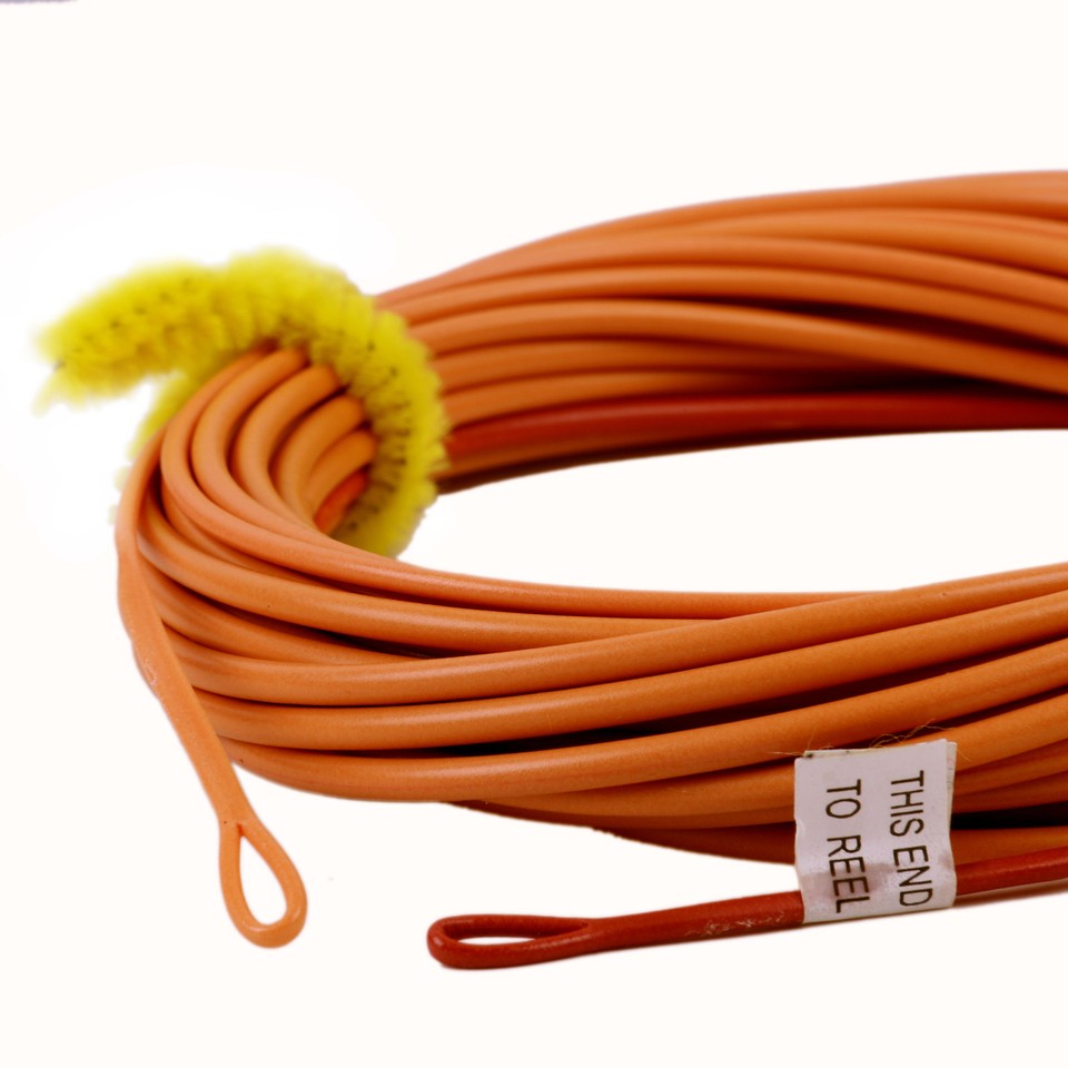 Skagit Shooting Head Fly Line Floating 300/425/500/550GR 20-23FT Honey ...