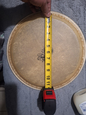 conga skin | eBay