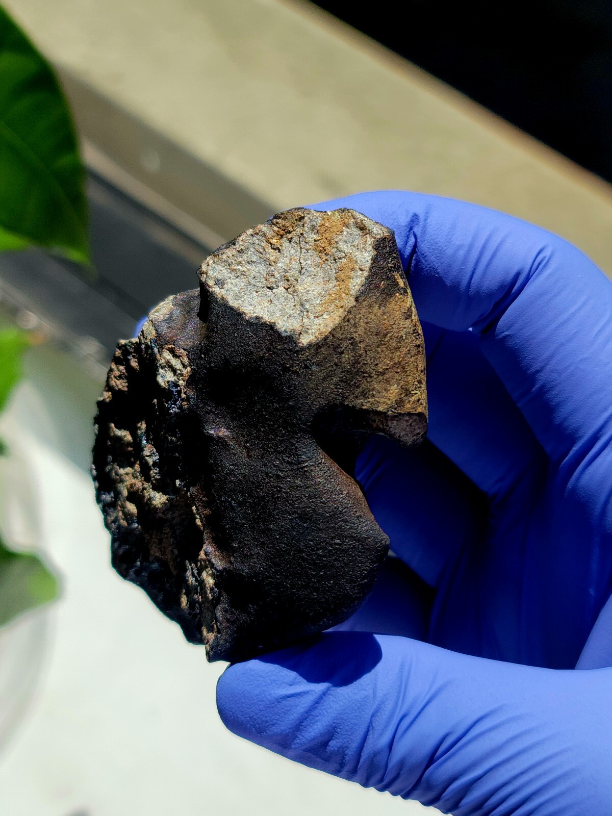 Meteorite**Georgia, Junction City**231.40 gram Fresh Individual ...