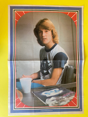 ANDY GIBB-1978 DONRUSS POSTER #18-10x15 FULL COLOR | eBay