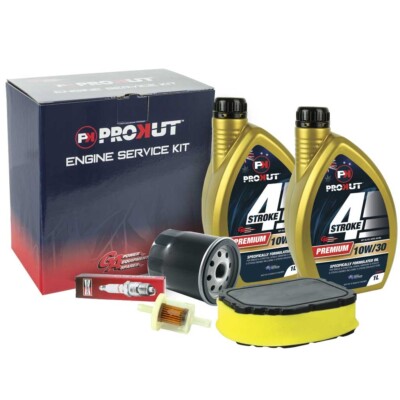 KOHLER ENGINE SERVICE KIT COURAGE TWIN SV710 - SV740 32 789 01-S | eBay ...