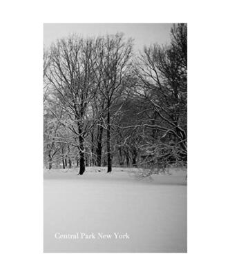 Central Park New York Journal: Central Park New York Blank Journal ...