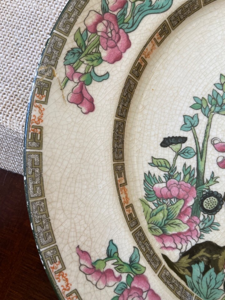 Indian Tree John Maddock & Sons England Royal Vitreous 9.75” two dinner ...