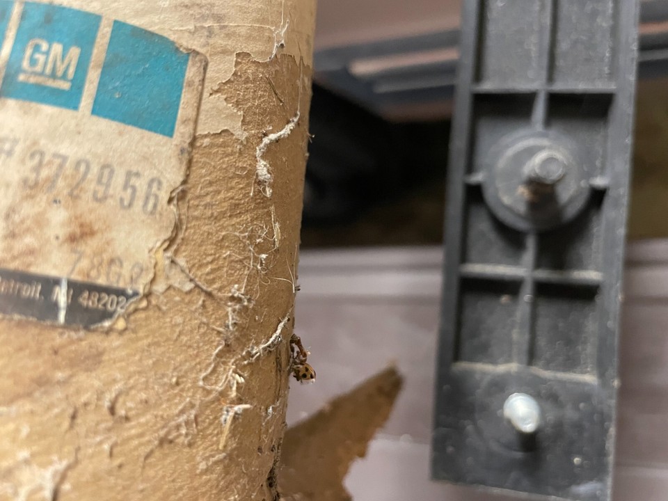 NOS Original 1974-77 Camaro Rear Bumper Rub-Strip RARE! | eBay