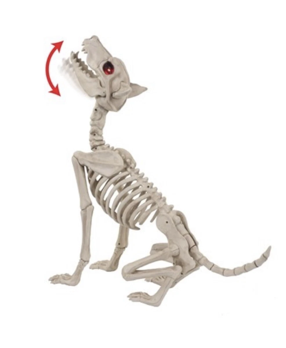 Wolf Skeleton Sitting