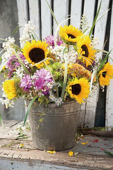 Art Print, Framed or Plaque By Irvin Hoover - Bucket of Sunshine ...